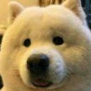 USB2517 USB HUB的参考原理图 - 电路设计论坛 - 电子技术论坛 - 广受欢迎的专业电子论坛!